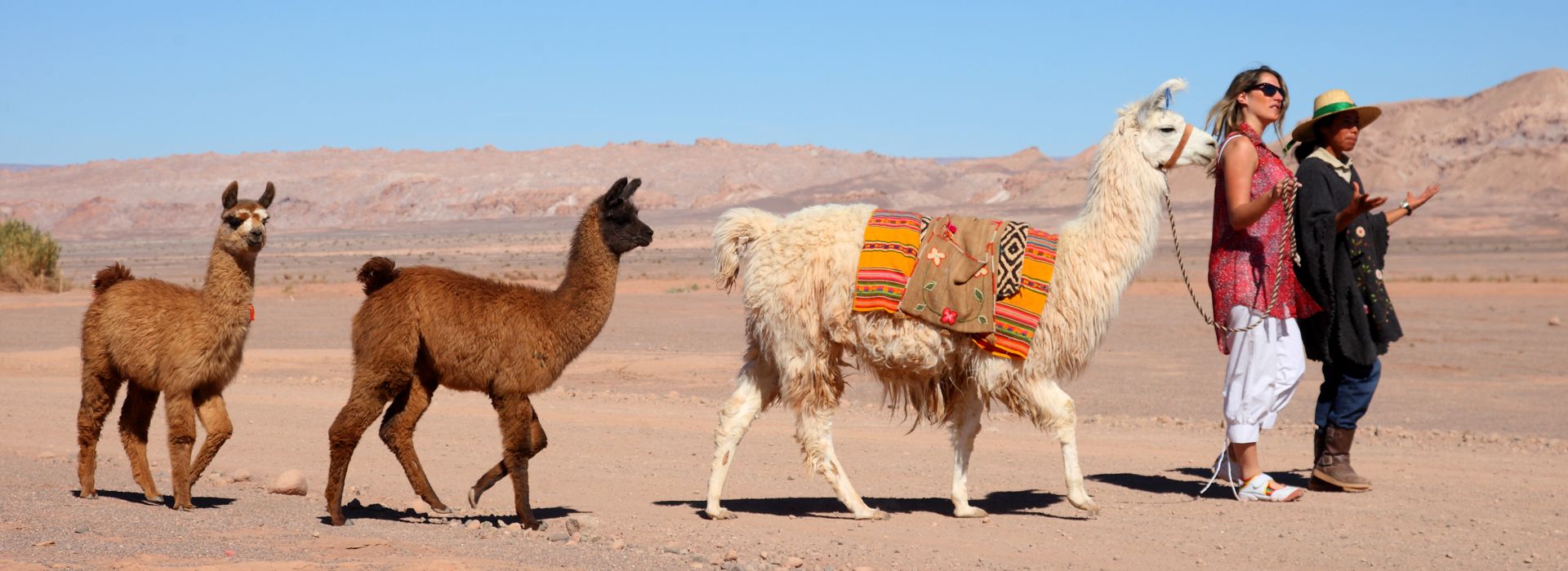 Consultas generales – Inmigración Chile